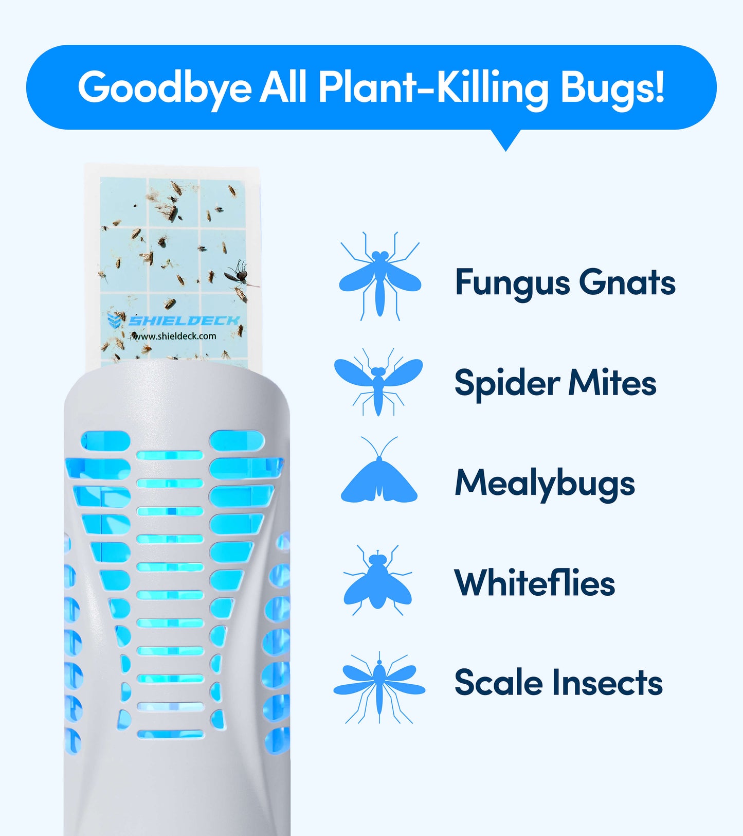 The BuzzTrap (White) - Next-Gen Fruit Fly, Gnat, Mosquito & Fly Trap ...