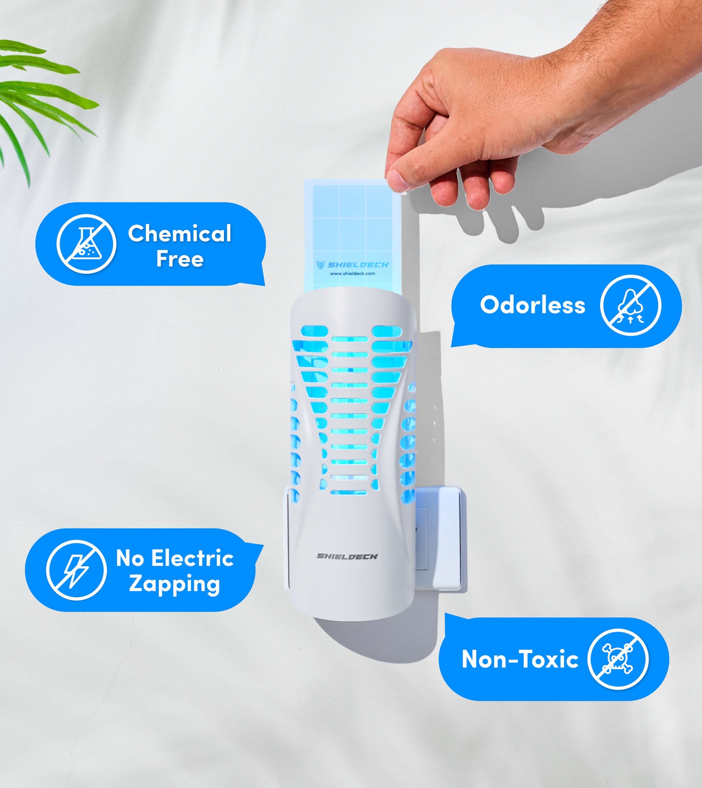 The BuzzTrap (White) - Next-Gen Fruit Fly, Gnat, Mosquito & Fly Trap ...