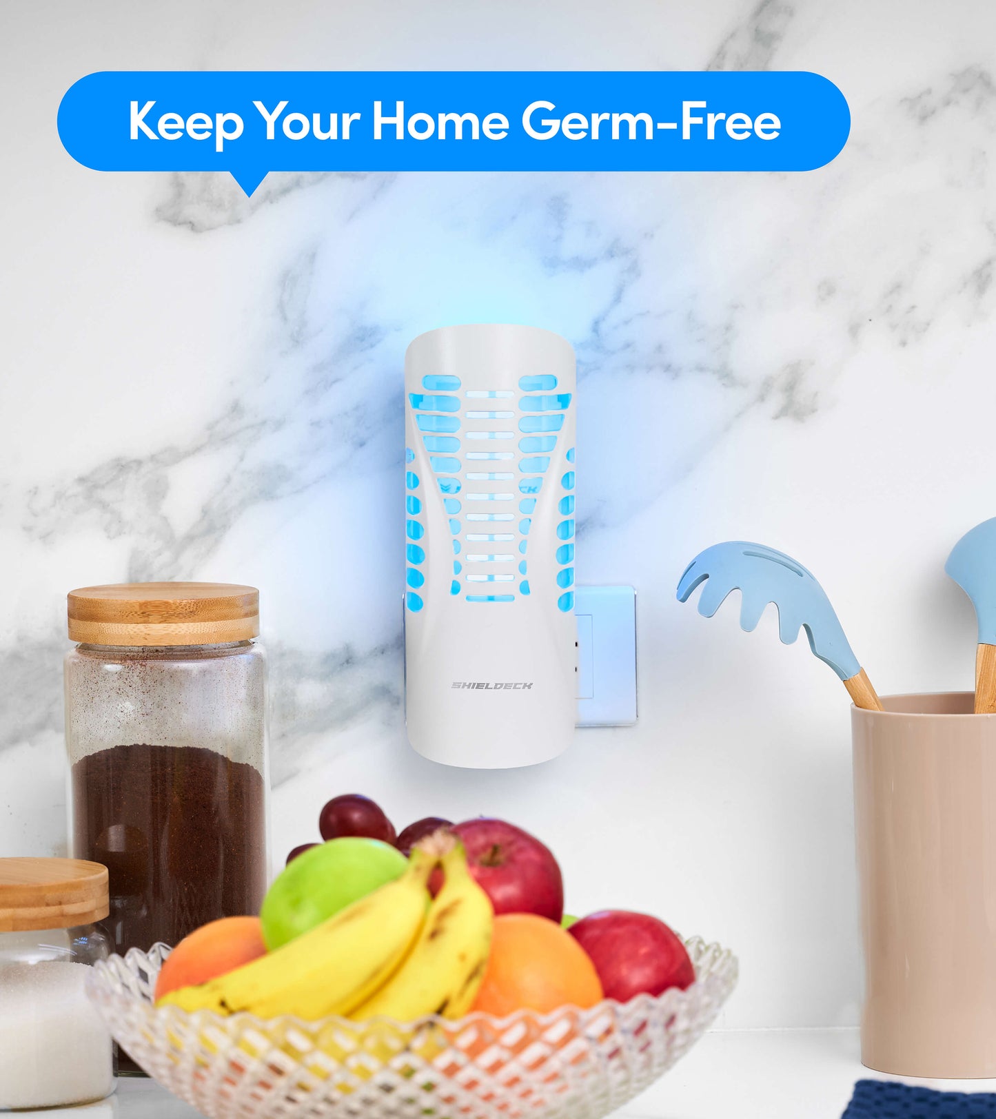 The BuzzTrap (White) - Next-Gen Fruit Fly, Gnat, Mosquito & Fly Trap ...