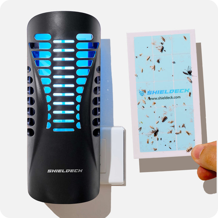 Shieldeck® Smart Insect Traps - Get Rid of Gnats, Flies, Mosquitoes